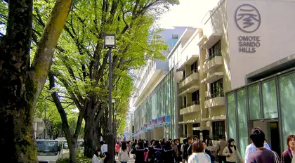 Omotesando | Japan Experience