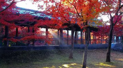 Tofukuji | Japan Experience