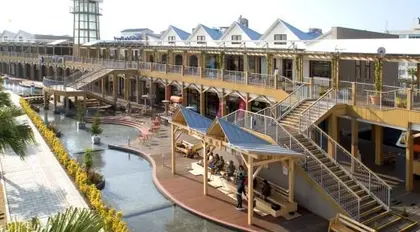 Dolphin Port | Japan Experience