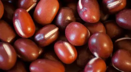 Azuki | Japan Experience