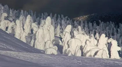 Where to see the Snow Monsters of Japan? | Japan Experience