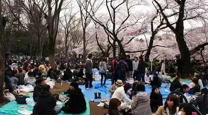 Hanami etiquette guide | Japan Experience