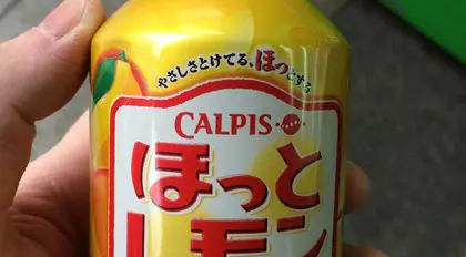 5 Japanese winter drinks | Japan Experience