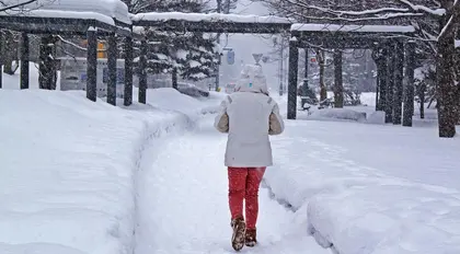 Japanese winter essentials | Japan Experience