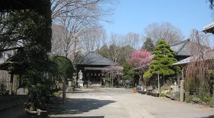 Hanno | Japan Experience