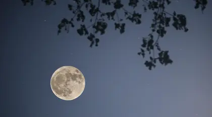 Tsukimi in Japan: Weiße Kaninchen, Mochi und der Mond | Japan Experience