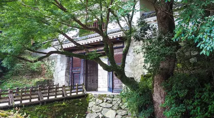 Visite de la ville de Obi | Japan Experience