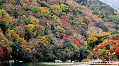 The Four Seasons of Japan: A Traveler's Guide | Japan Experience
