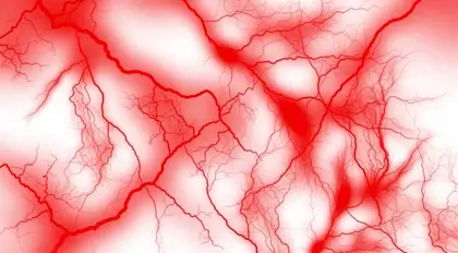 Blood Types in Japan: Understanding the Cultural Phenomenon | Japan ...