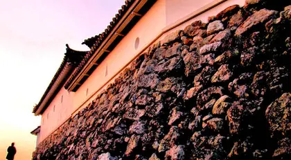 Kochi Castle | Japan Experience