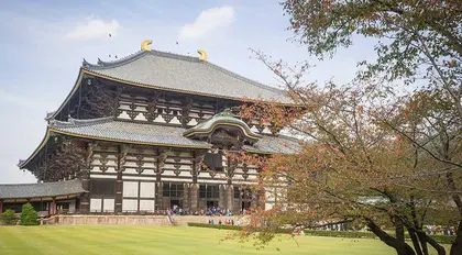 Nara Period | Japan Experience