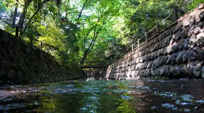 Todoroki Valley Tokyo | Japan Experience