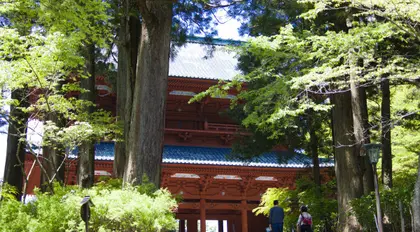 Japan Activity: Official guided tour of Koyasan | Japan Experience
