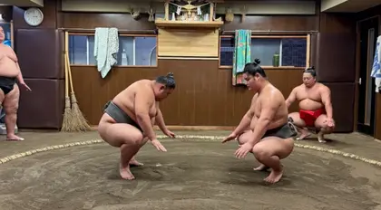 Sumo Training | Japan Experience