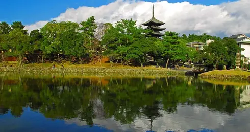 Nara Koen | Japan Experience