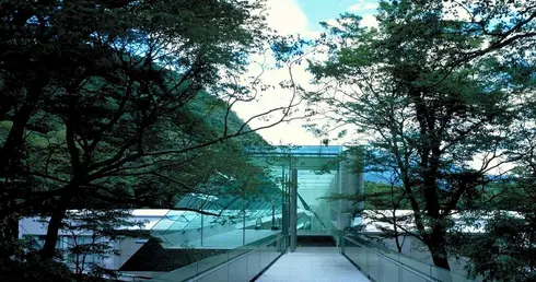 Hakone Glass Forest | Japan Experience