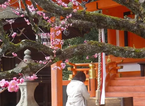 Der Shintoismus | Japan Experience