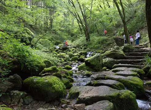 Mount Mitake | Japan Experience