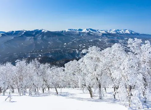 The most beautiful snowy Japanese landscapes | Japan Experience