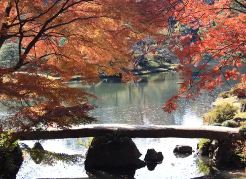 The Rikugi-en garden | Japan Experience