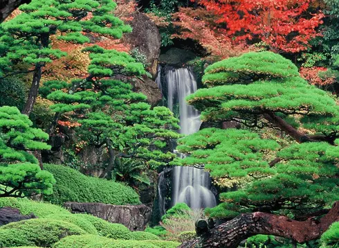 Characteristics and vocabulary of the traditional Japanese garden ...