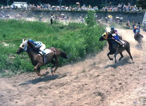 The horse in Japan | Japan Experience