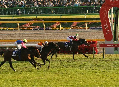 The horse in Japan | Japan Experience