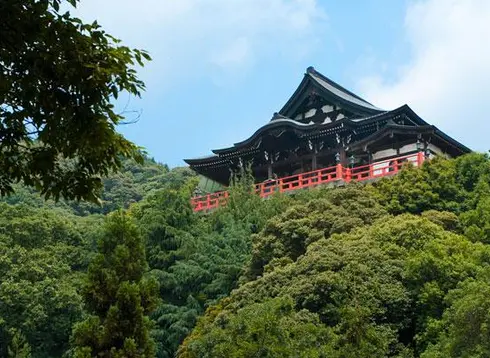 Mount Shigi | Japan Experience