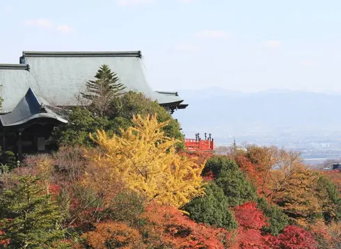 Mount Shigi | Japan Experience