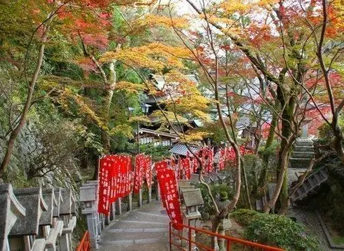 Mount Shigi | Japan Experience