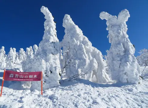 Where to see the Snow Monsters of Japan? | Japan Experience