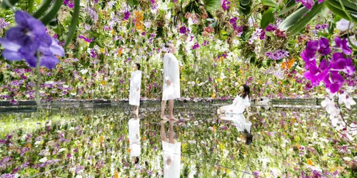 Activité au Japon : teamLab Borderless | Japan Experience