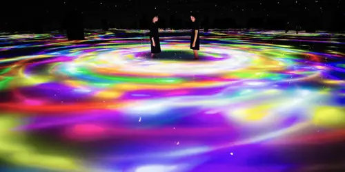 Activité au Japon : teamLab Borderless | Japan Experience