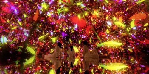 Activité au Japon : teamLab Borderless | Japan Experience