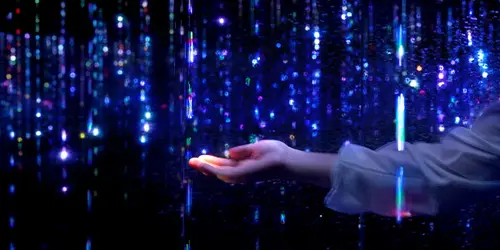 Activité au Japon : teamLab Borderless | Japan Experience