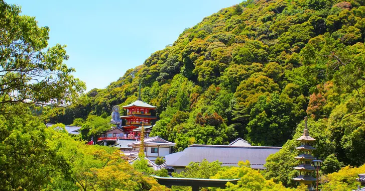 Mount Shigi | Japan Experience