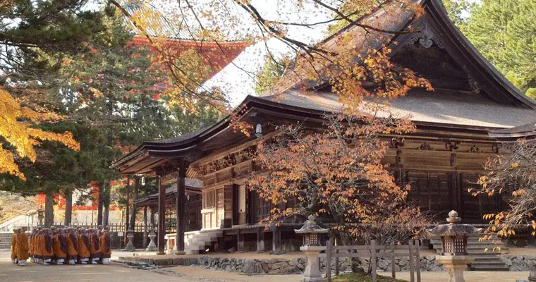 Daimon | Japan Experience