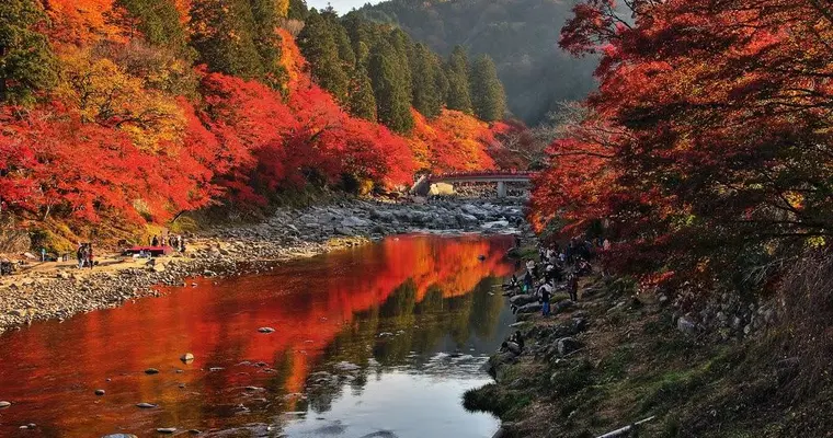 Beaches Around Nagoya | Japan Experience