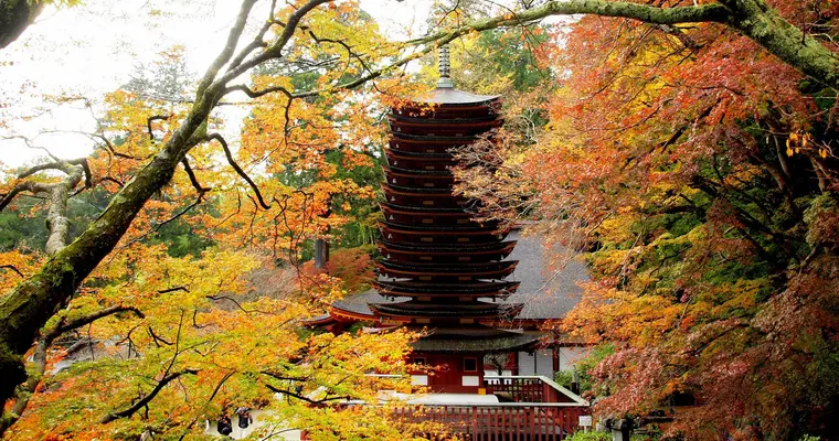 Nigatsudo & Sangatsudo Temples | Japan Experience