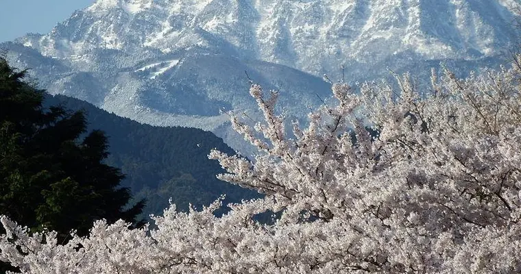Le village de Motoyama | Japan Experience