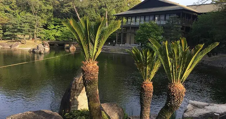 Nagoya Parks & Gardens | Japan Experience