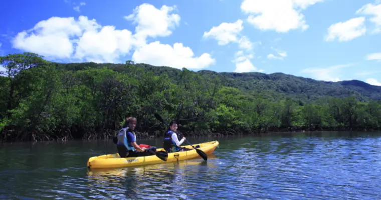 Our activities | Japan Experience