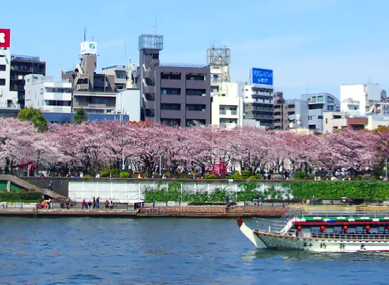 Sumida River Tokyo | Japan Experience