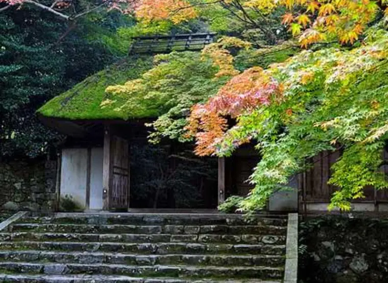 Honen-in | Japan Experience