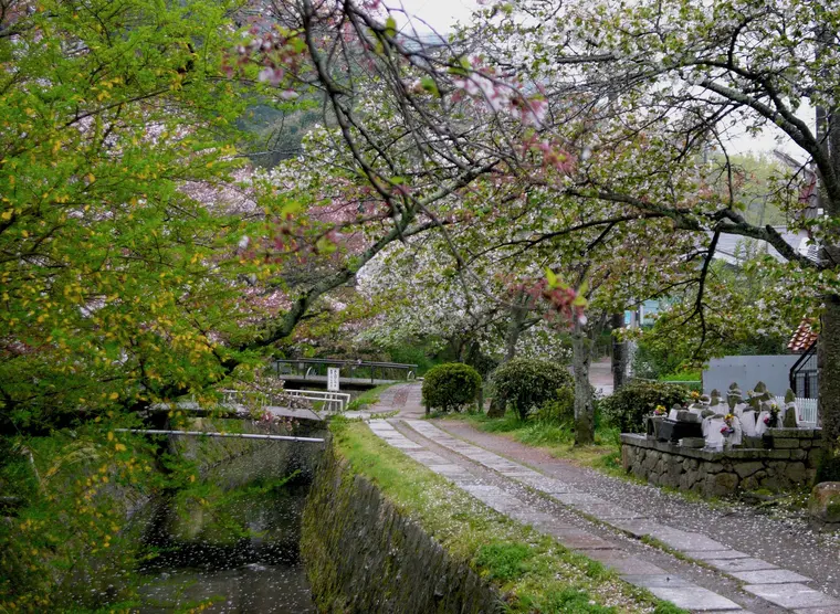 Le quartier de Sakyo | Japan Experience