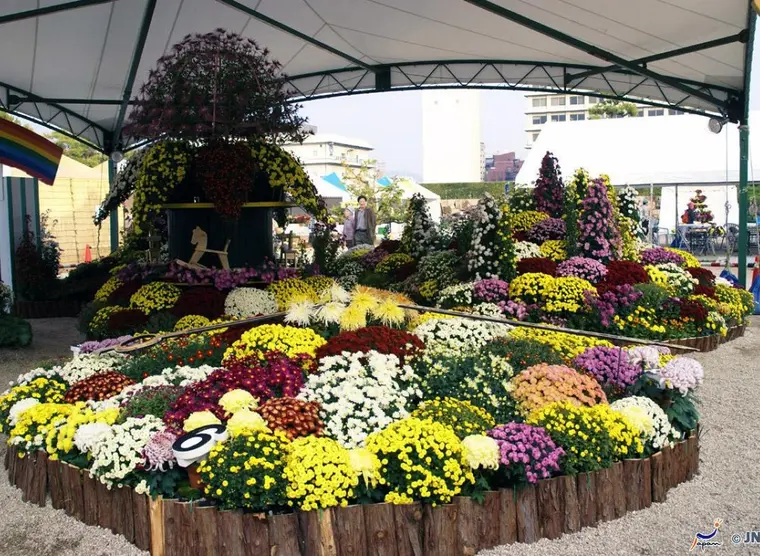 Flower Festival | Japan Experience