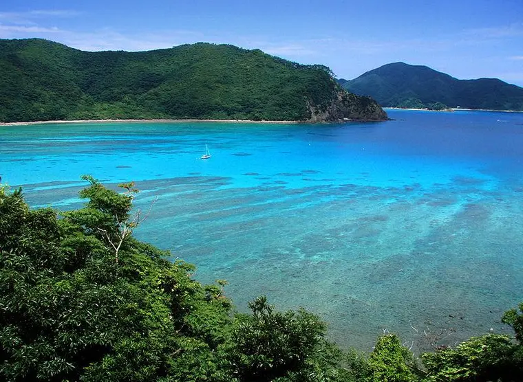 L'île Amami-Oshima | Japan Experience
