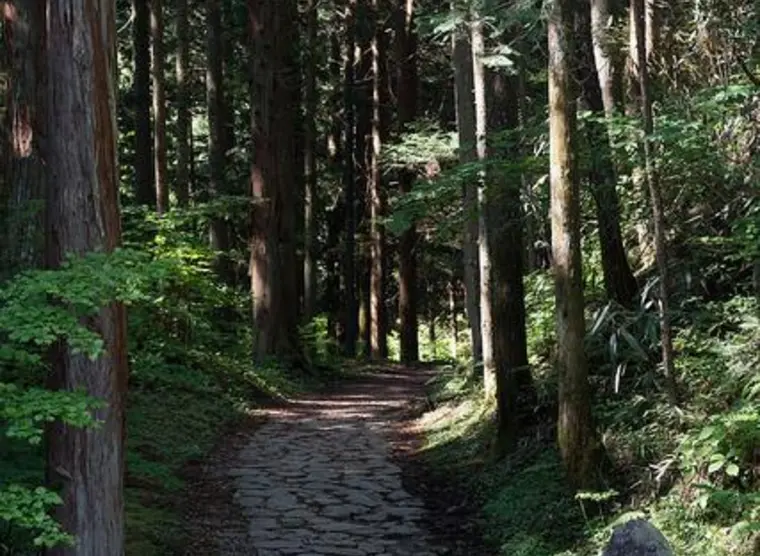 The best hikes in the Japanese Alps | Japan Experience