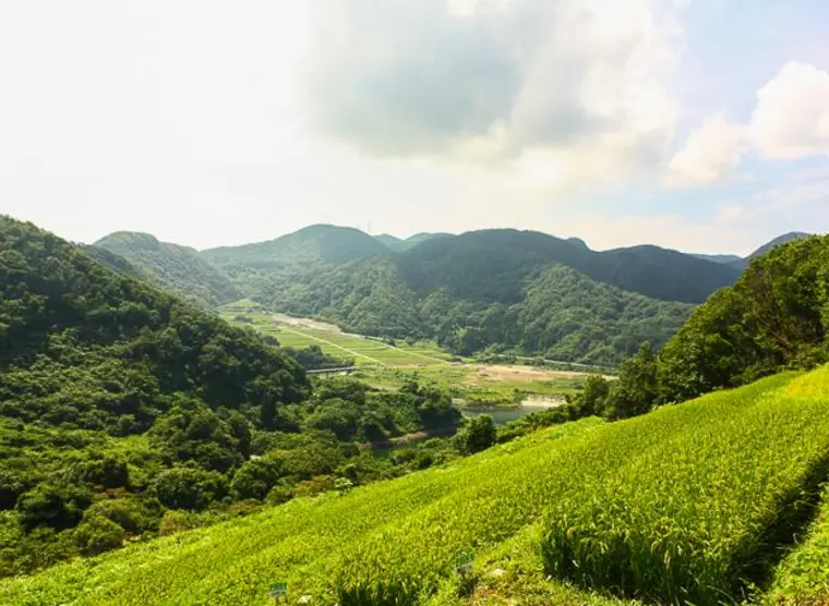 Trekking on Sadogashima Island | Japan Experience