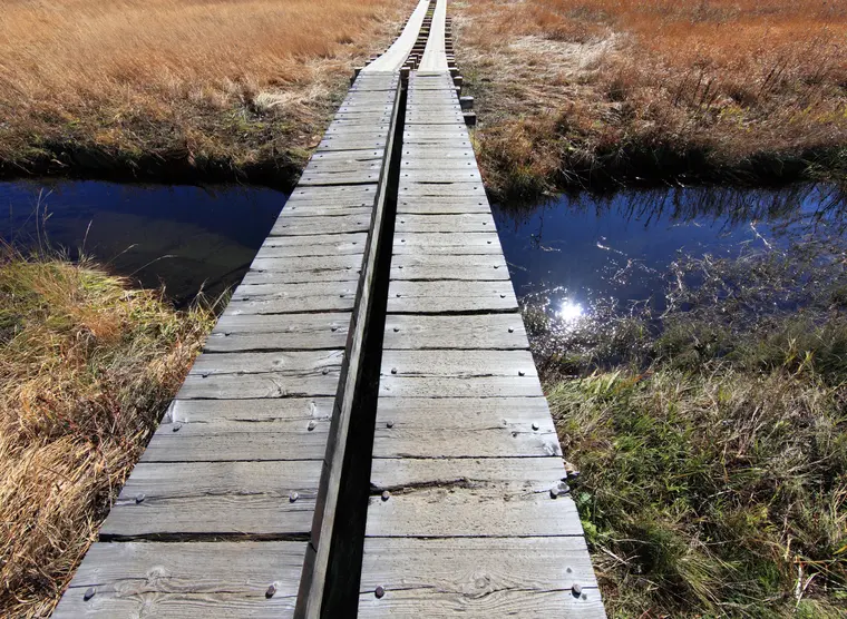 Oze Park | Japan Experience